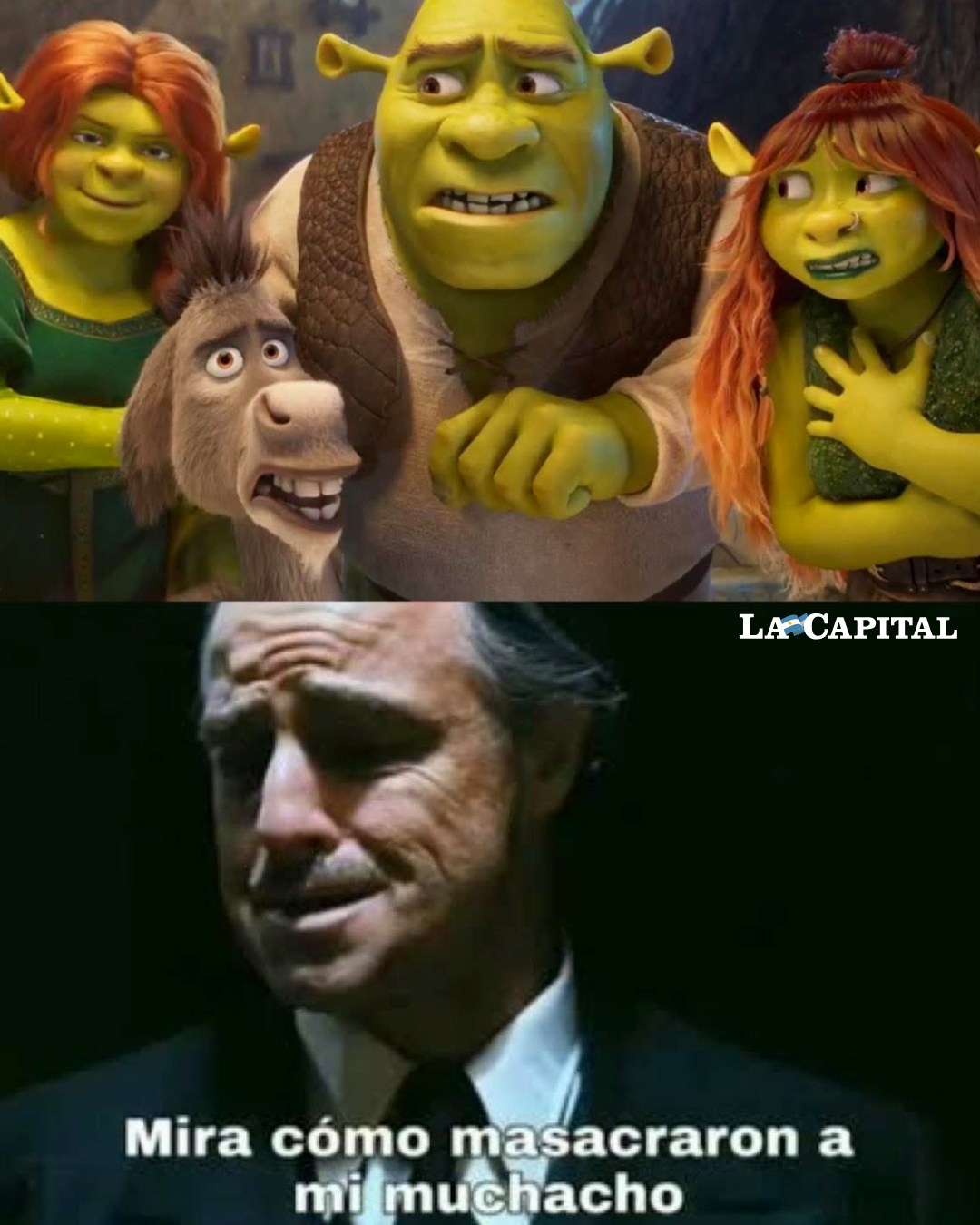 Memes De La Pelicula Shrek