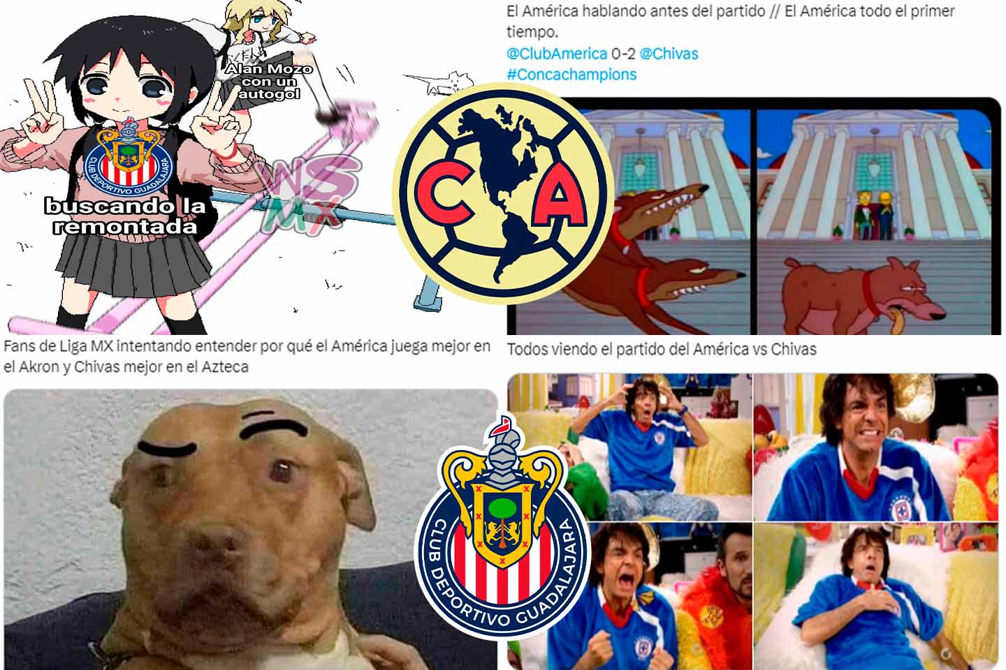 Imagenes De Chivas Memes Pin De Lexi E En Birth Days!!! | Cumpleaños