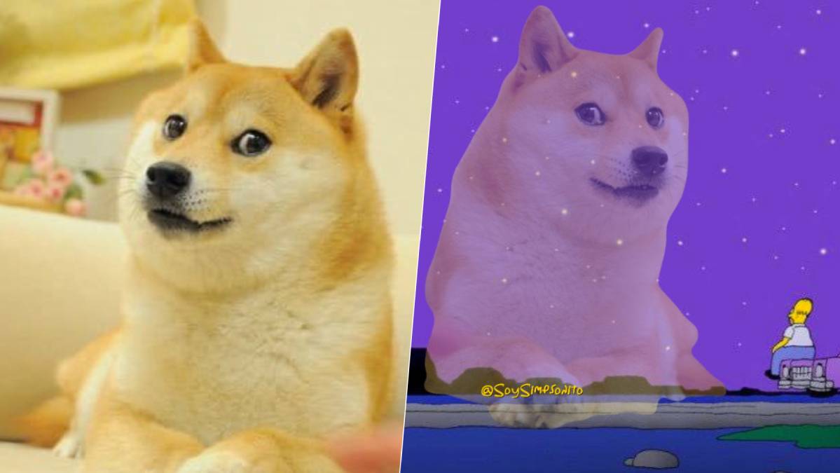 Memes Muerte Hijo Del Perro Los Memes No Perdonan La Muerte De Fidel