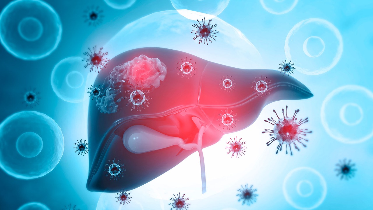 Se Puede Contraer Hepatitis Por Tocar Algo