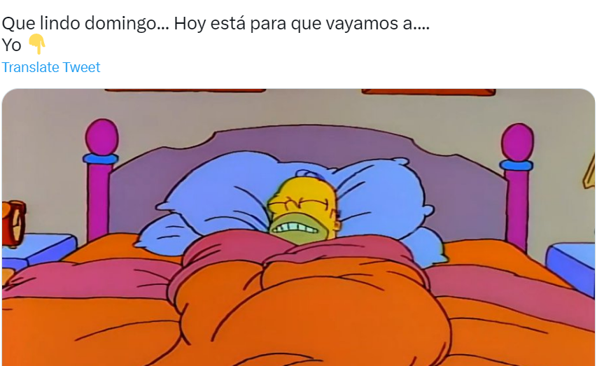 Memes De Homero Dormido