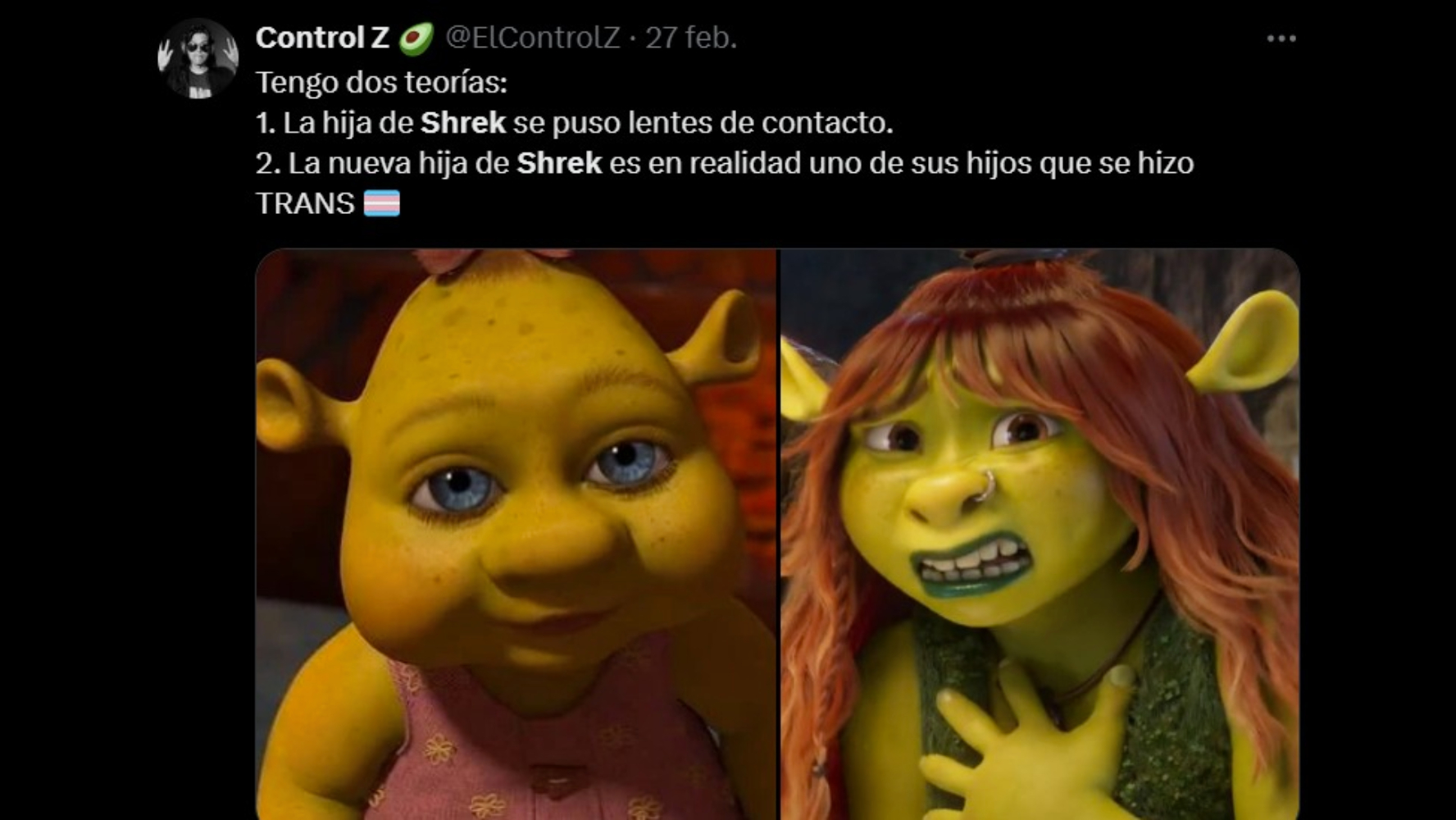 Memes De La Pelicula Shrek