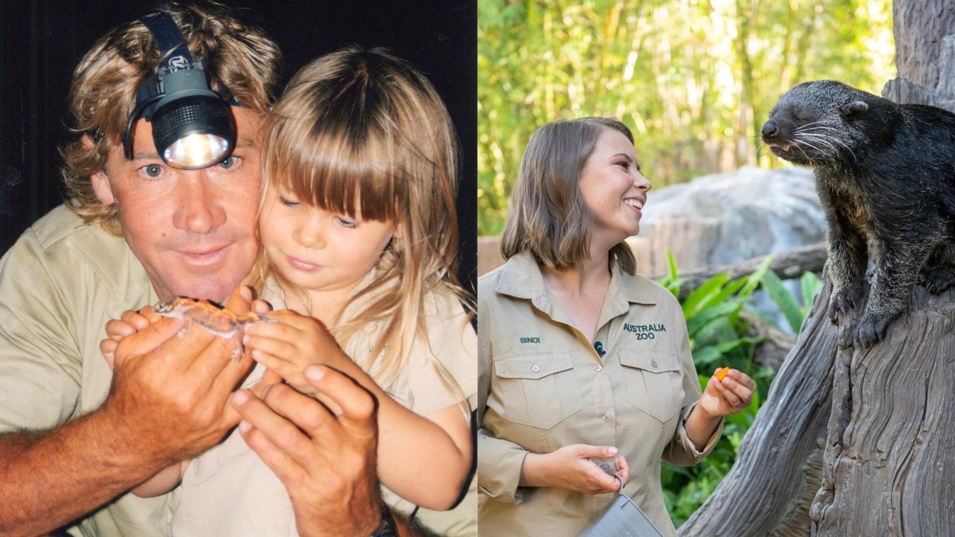 Muere La Hija De Steve Irwin Bindi Irwin, La Hija Del Recordado