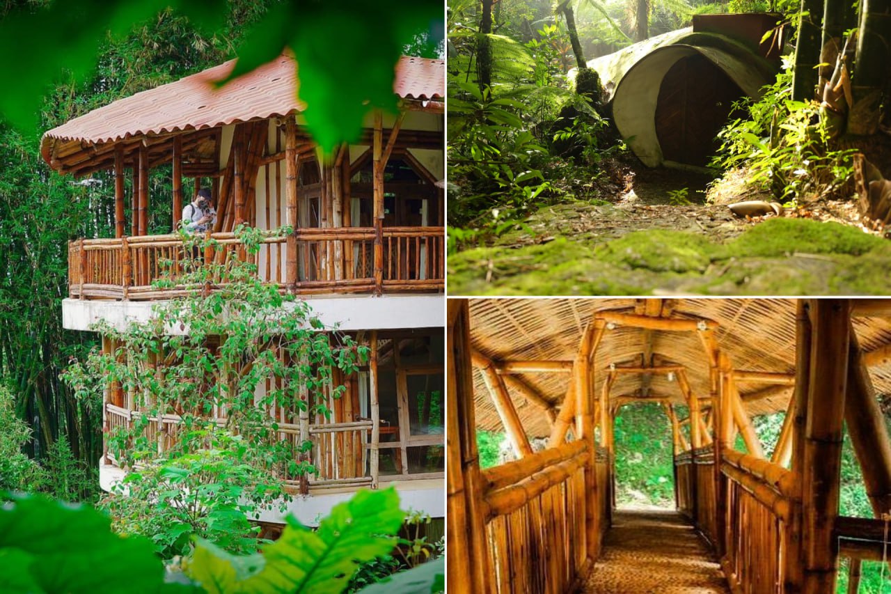 Escápate a estas cabañas en el bosque para disfrutar de la lluvia con ...