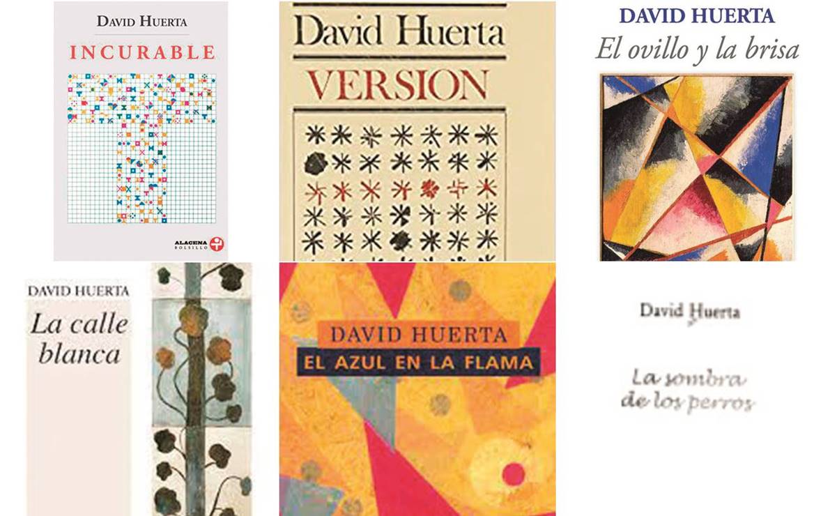 Un recorrido para apreciar la poesía de David Huerta