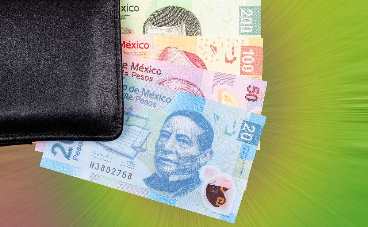 Cuántos tipos de Labubus existen