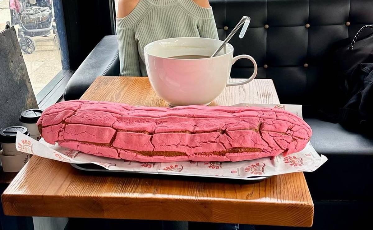 Concha Gigante | El Universal