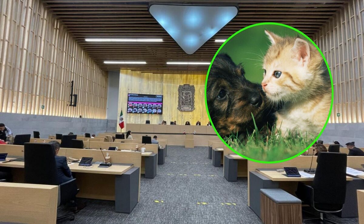 1+1=3, el bien individual está en el bien común: La filosofía de Jorge ...