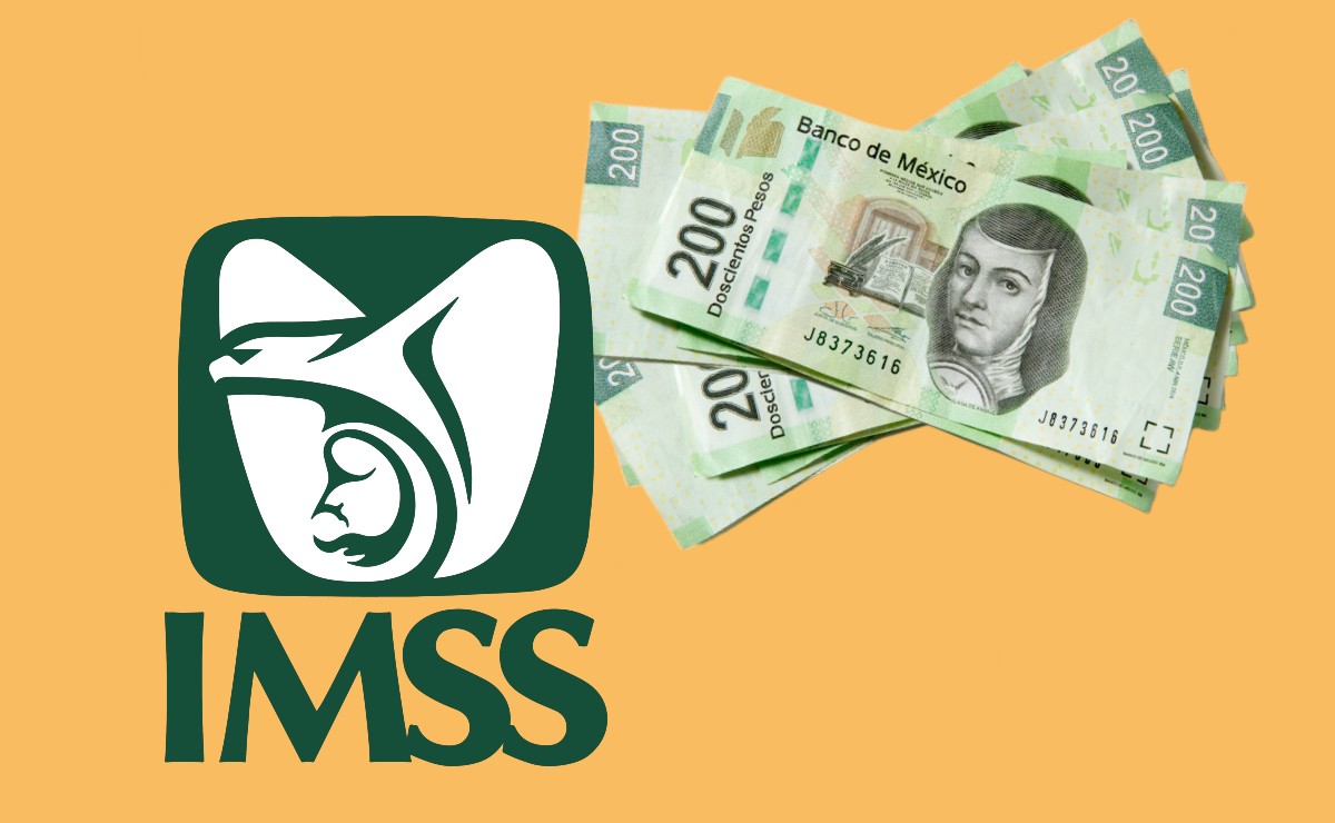 INAPAM lanza programa oficial: Así puedes recuperar semanas IMSS y ...