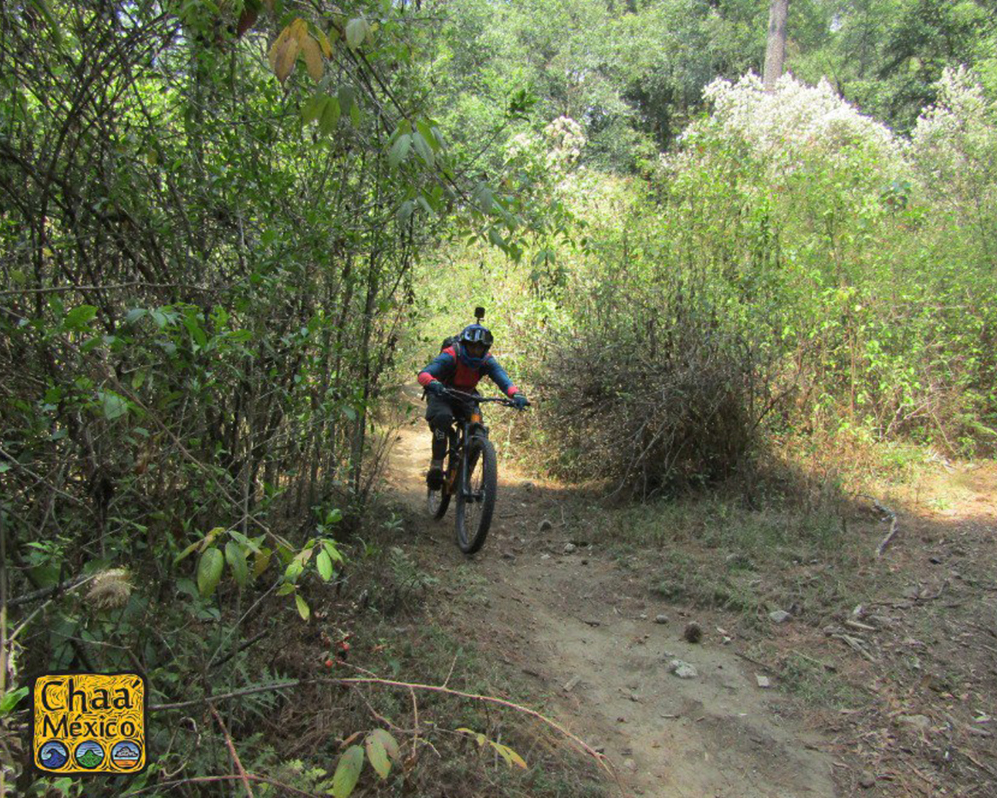 Presa Necaxa, de hidroeléctrica a importante atractivo turístico | El ...