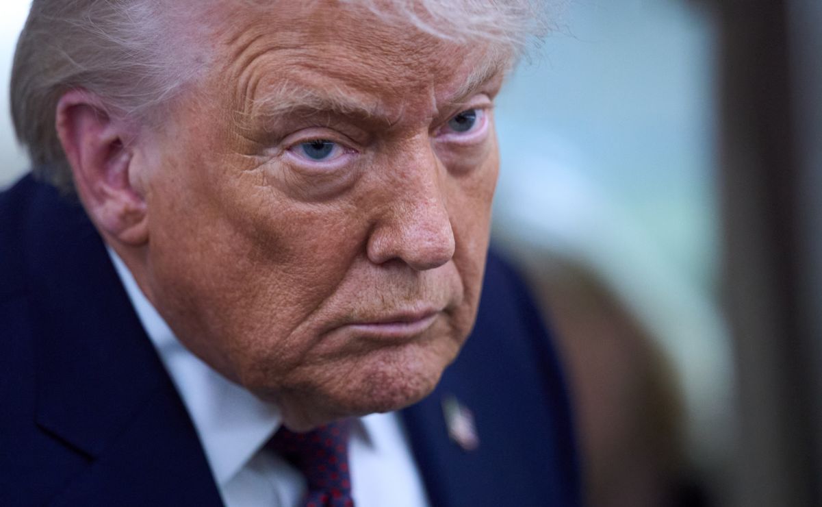 Japón se despide de los pandas Lei Lei y Xiao Xiao; tensiones ...