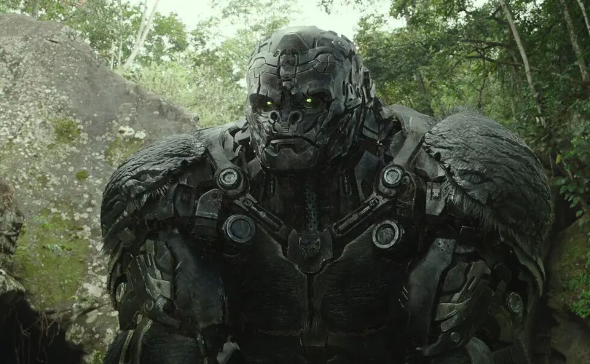 Mira cómo luce hoy la actriz que interpretó a “Shauni McClain” en ...