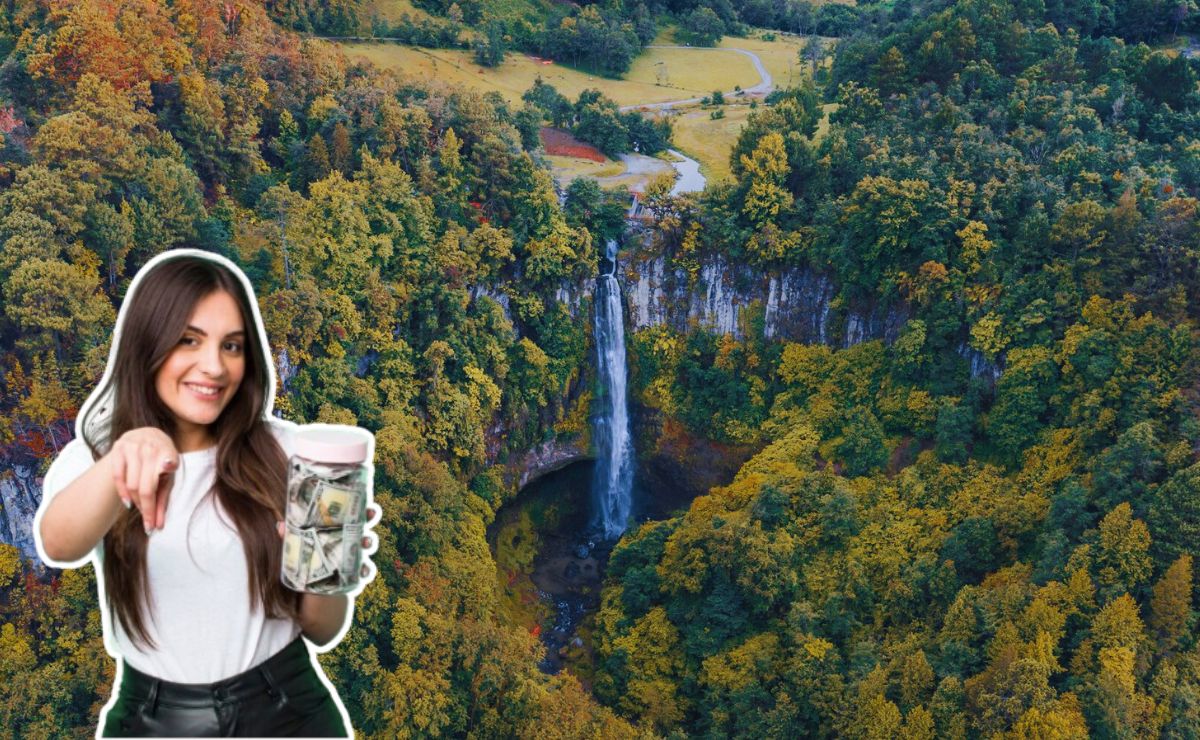 Guía para conocer los tesoros naturales de la Sierra Negra de Puebla