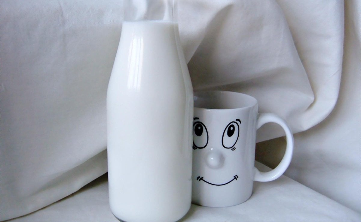 ¿Qué es la manzana de coco y dónde puedo comerla?