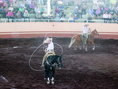 El Pitayo | Querétaro