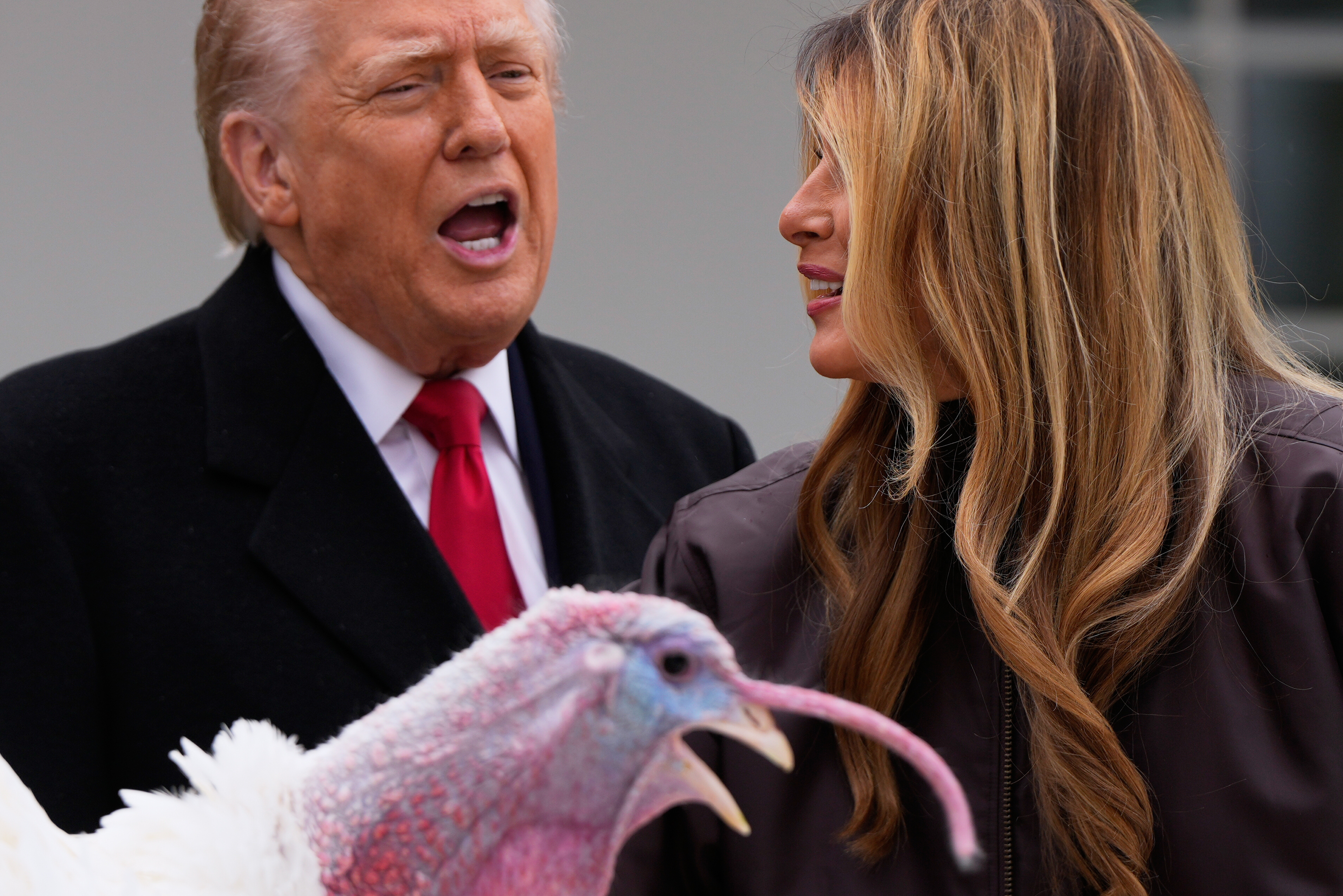 ¿Qué significa el Thanksgiving? Por qué se celebra, historia, frases e ...