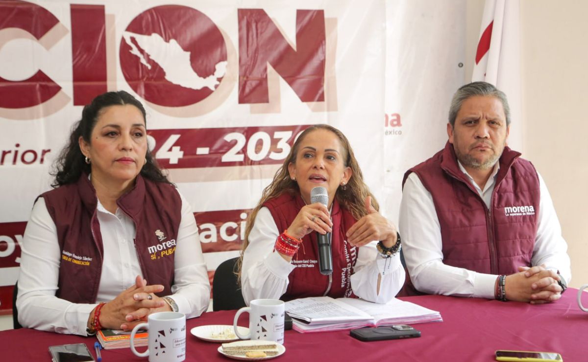 Confirman que Araceli Caselin será la nueva regidora de Morena en ...