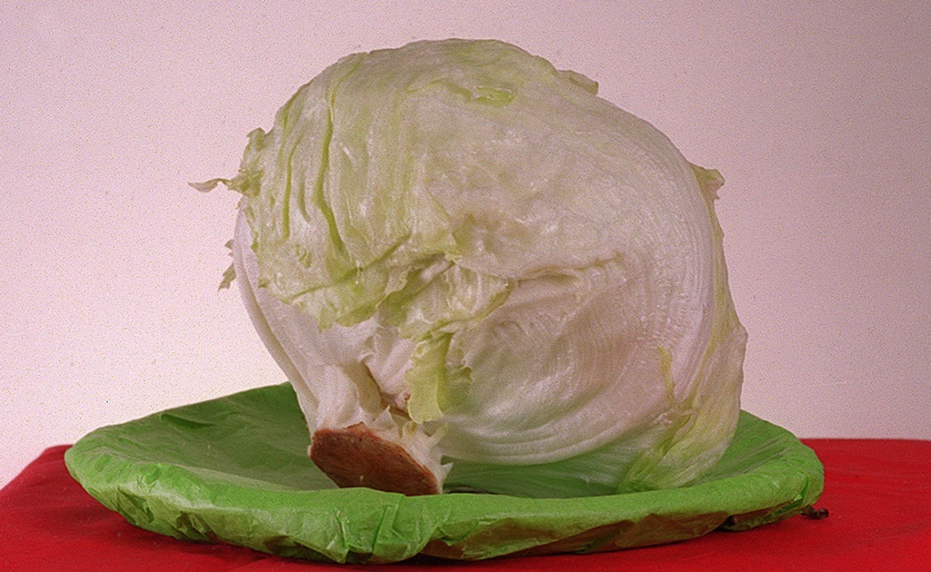 ¿Qué es la bacteria E. coli y cómo se contagia?