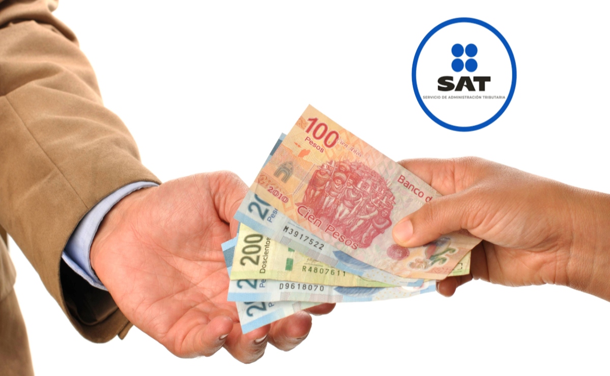 SAT. Anuncia nuevo requisito obligatorio para comprar en Shein, Temu y ...