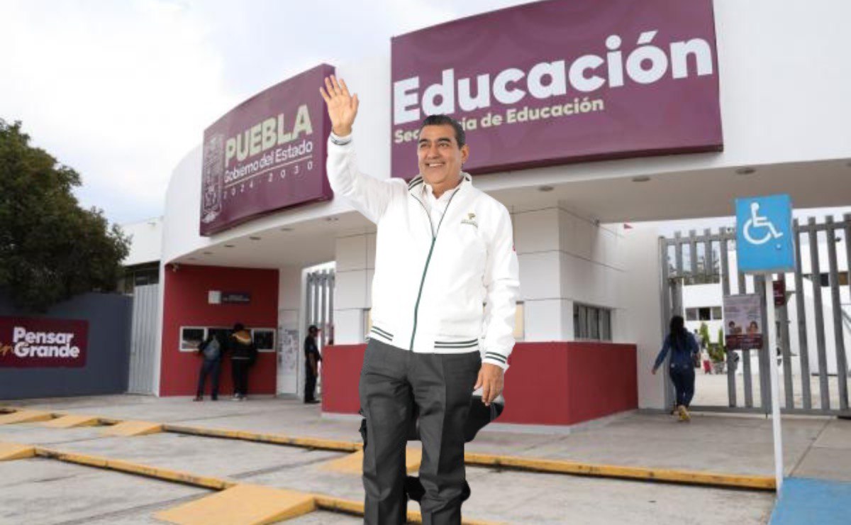 Qué son los tlalitos, el ingrediente secreto de las quesadillas de ...