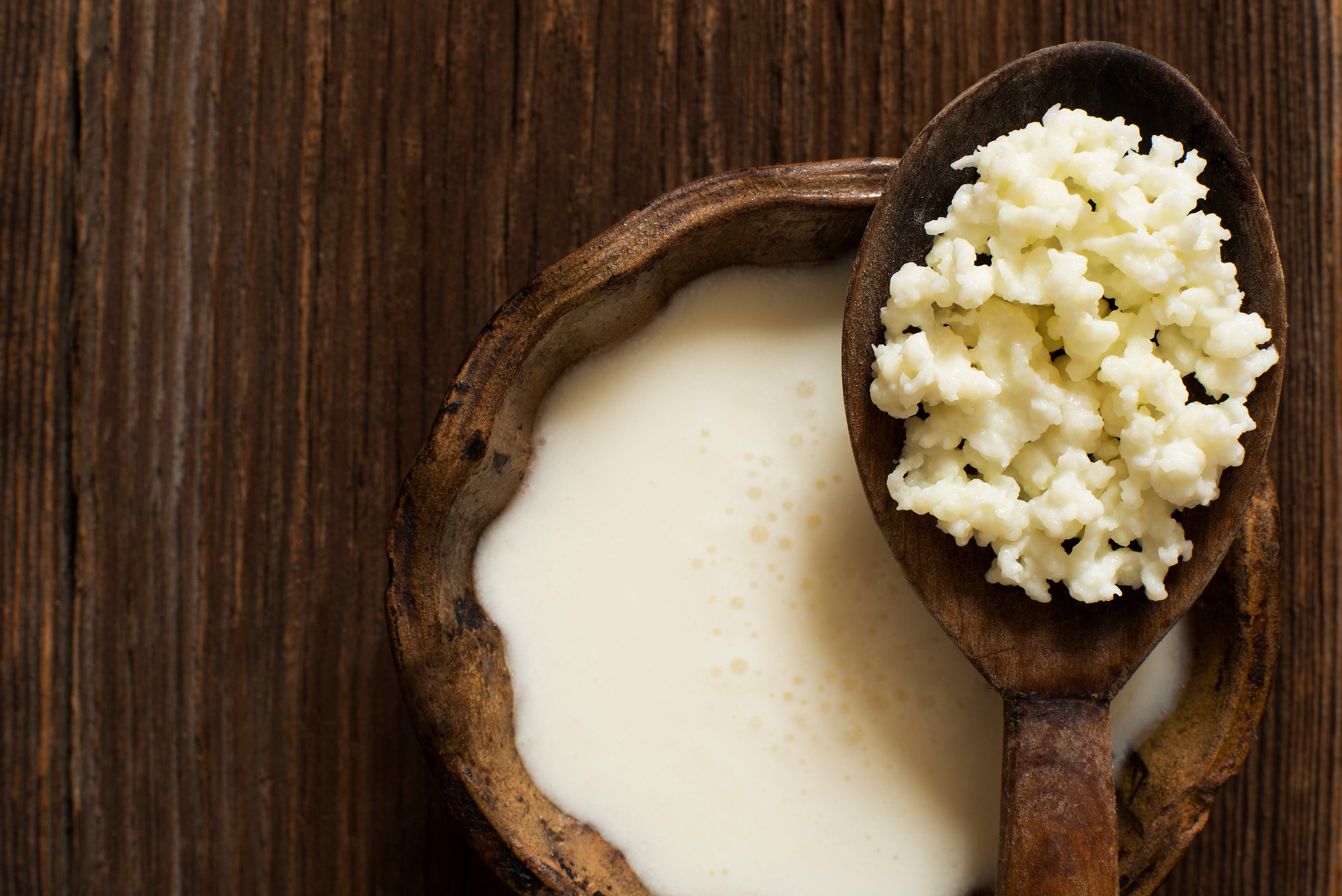 Beneficios de los alimentos fermentados