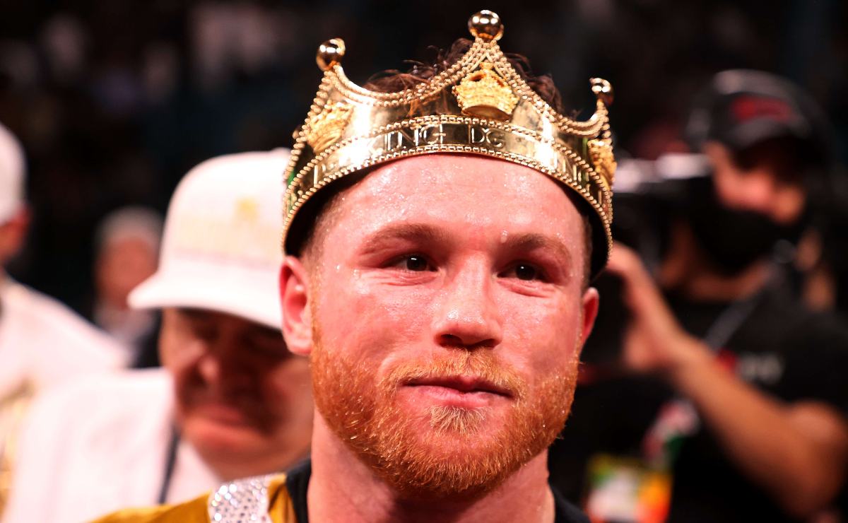 Saúl “Canelo” Álvarez adquiere gato de casi 20 mil pesos