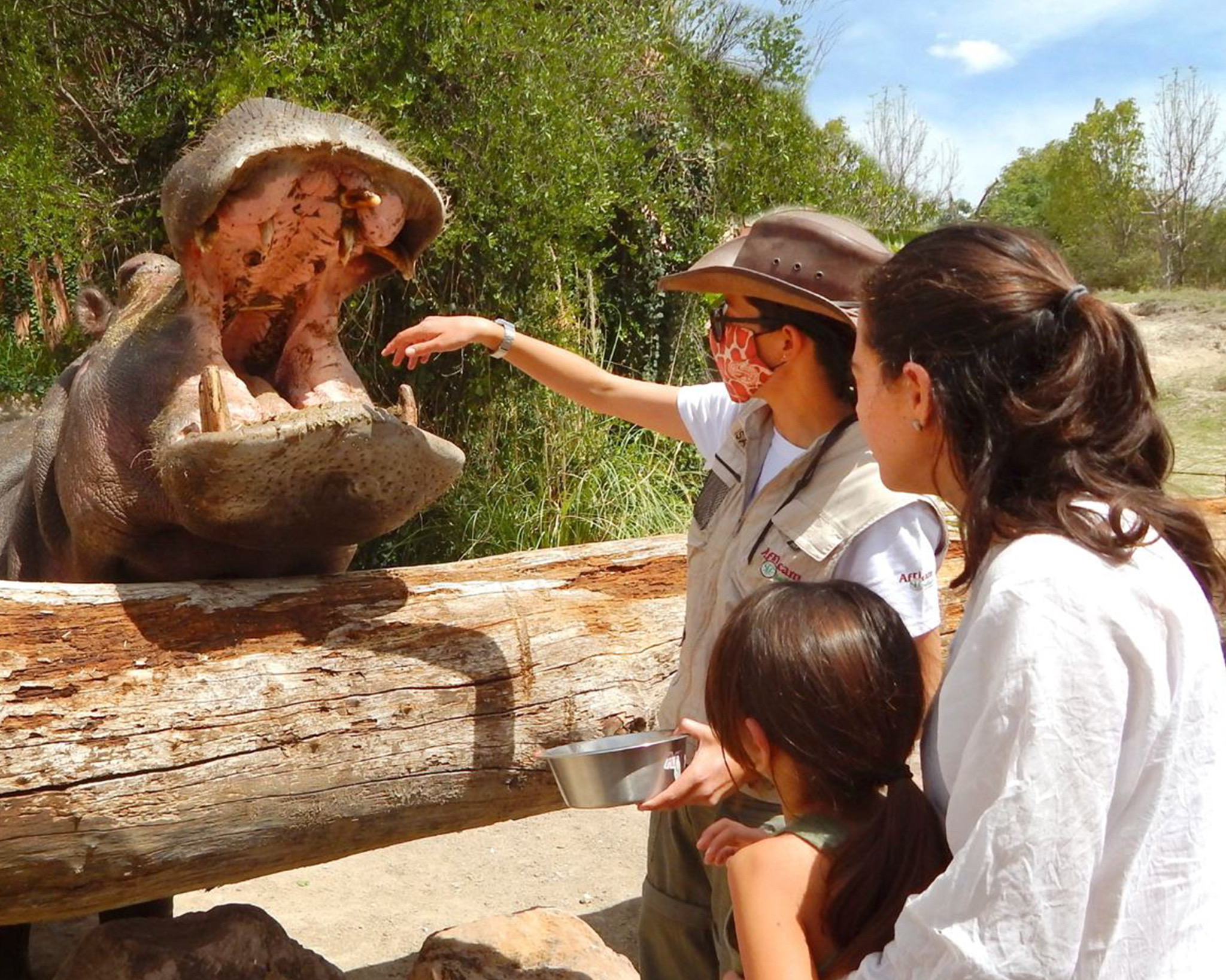 VIDEO. Africam Safari se viraliza por subirse a tendencia de Barbie y ...