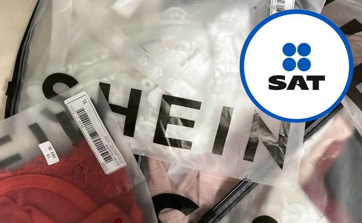 ¿Por qué ahora hay temor de abrir un paquete de Shein? | El Universal ...