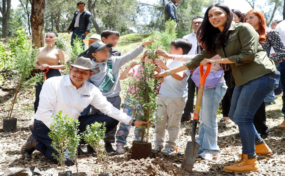Puebla lanza Plan de Reforestación 2025 | El Universal Puebla