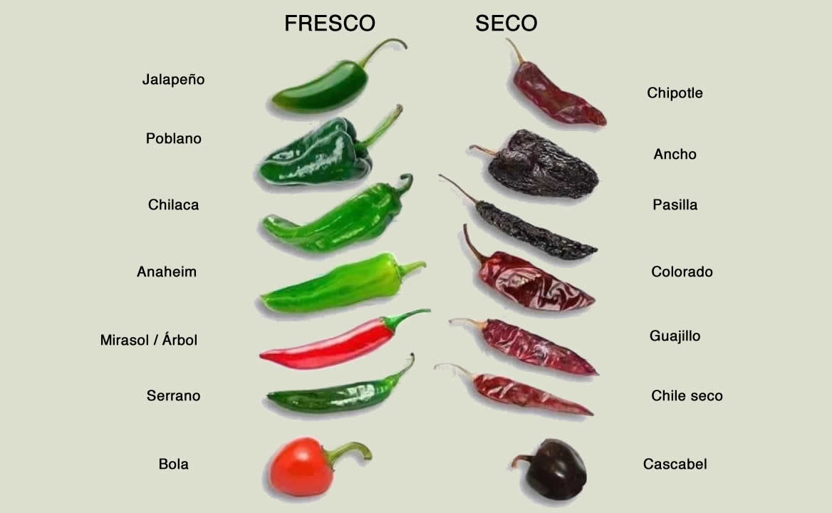 ¿Cuál es el origen de la expresión 'a medios chiles'? | El Universal Puebla