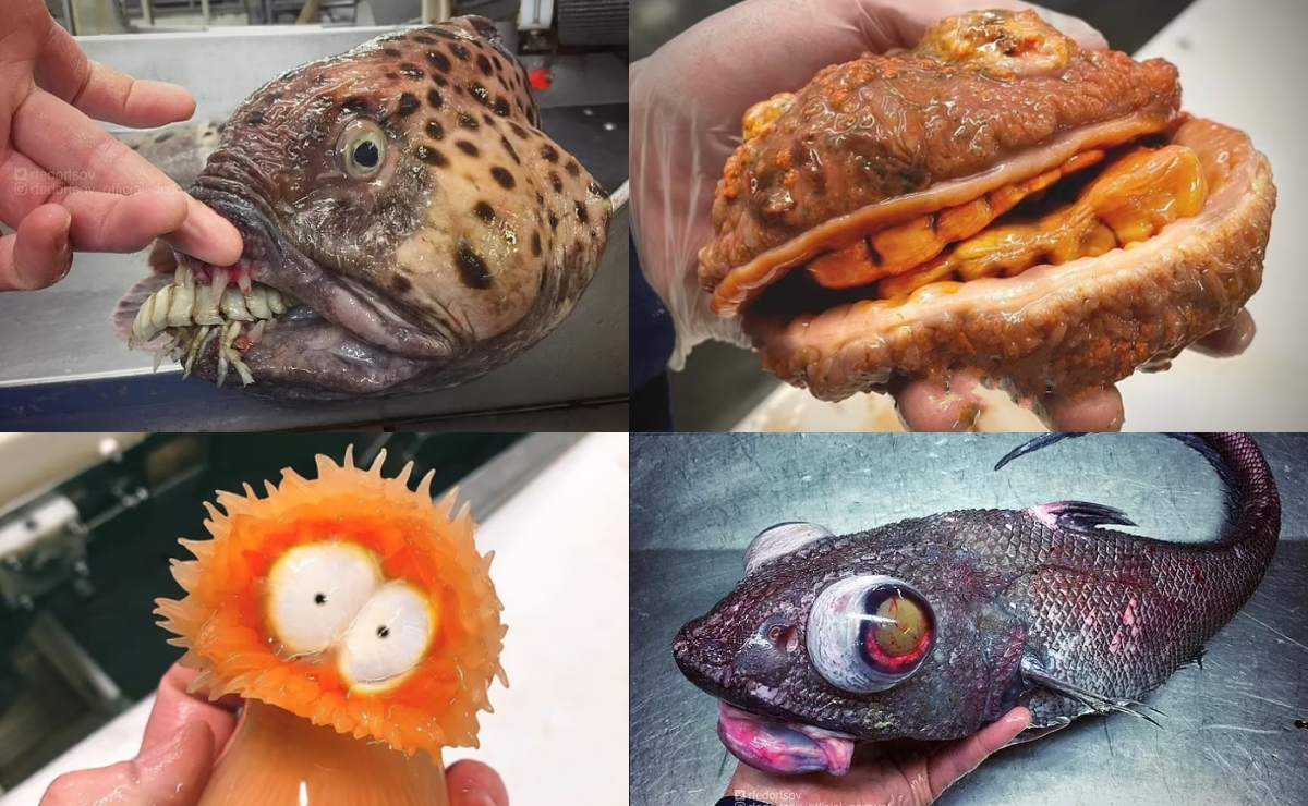 Lizeth Guzmán | El Universal