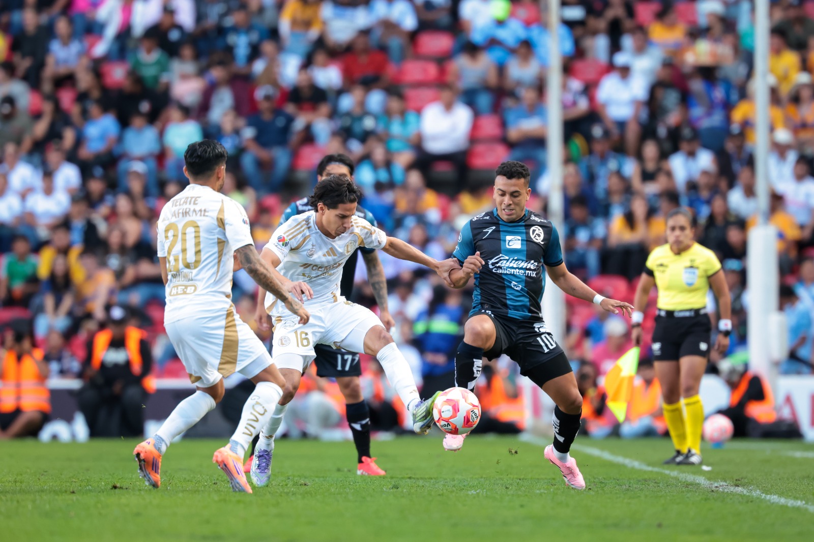 Deportes | El Universal Querétaro