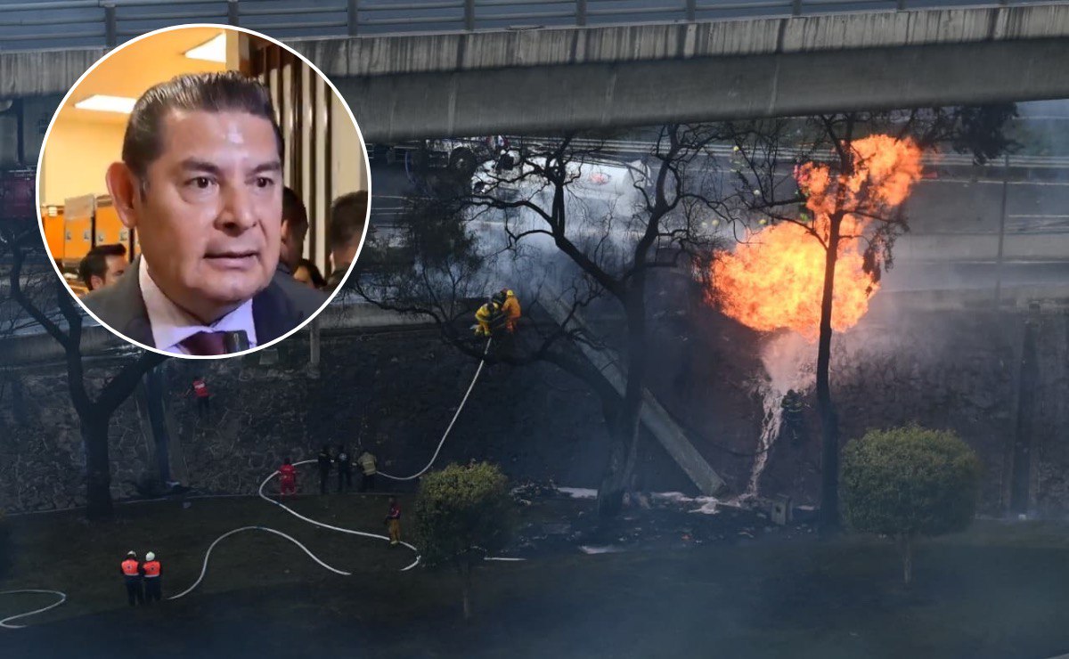 Mazacuata: Conoce a la boa constrictor que controla plagas en Puebla ...