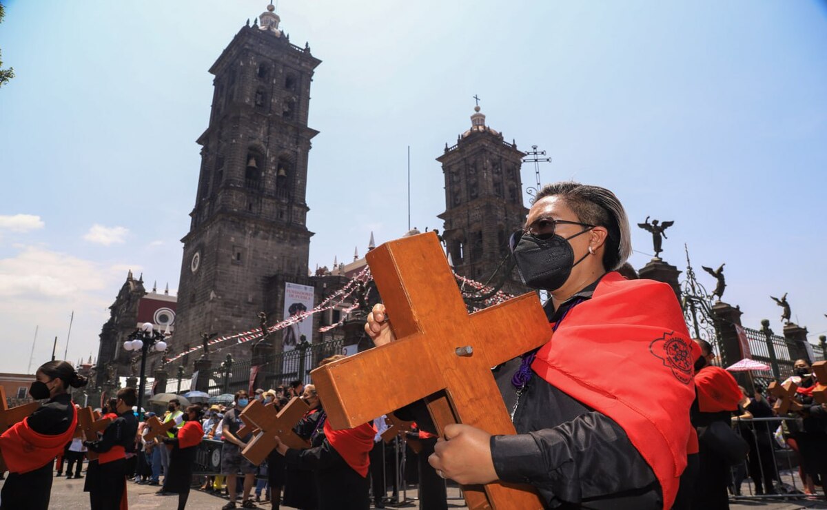 Puebla es la cuna del maíz, en una cueva hallaron la mazorca más ...