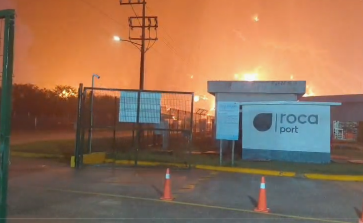 Crean huertos en Coahuila para darle nueva vida a la región | El Universal