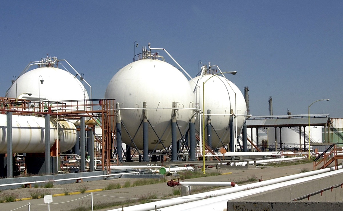 Diego Puga | El Universal