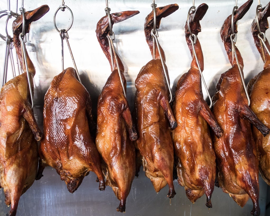 el pato en la gastronomía mexicana | El Universal