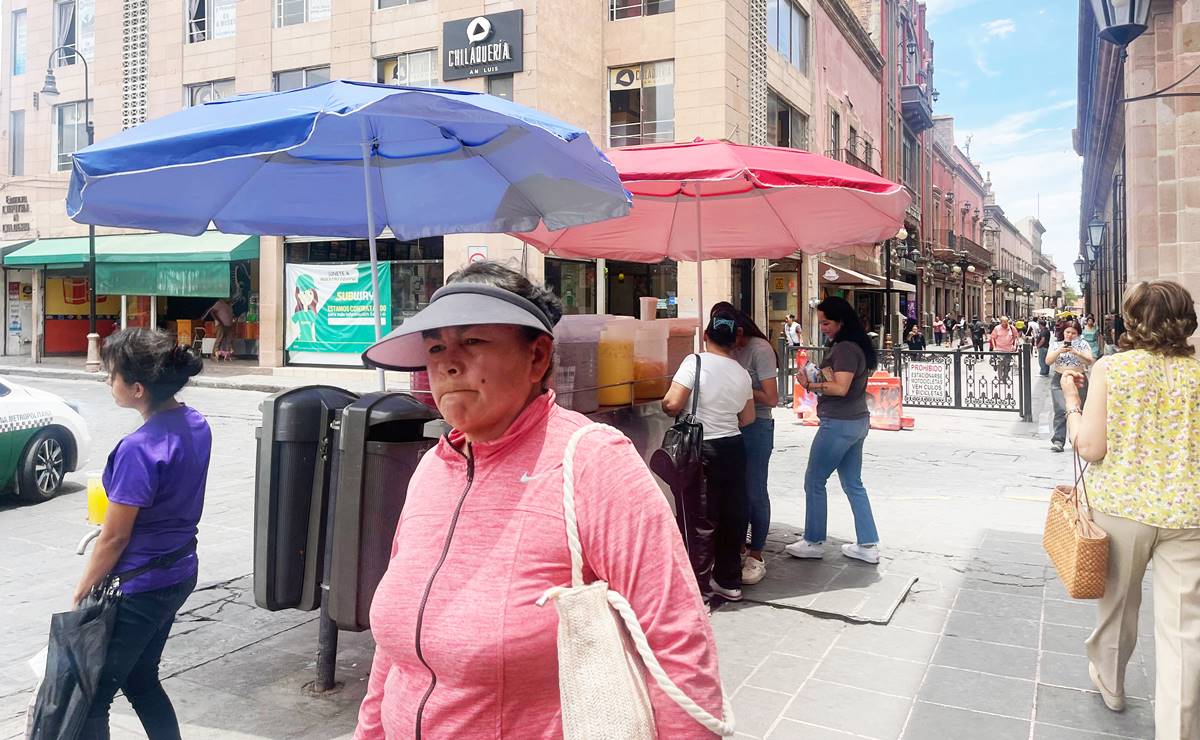 Selva Teenek, el refugio que rescata a animales silvestres de la ola de ...