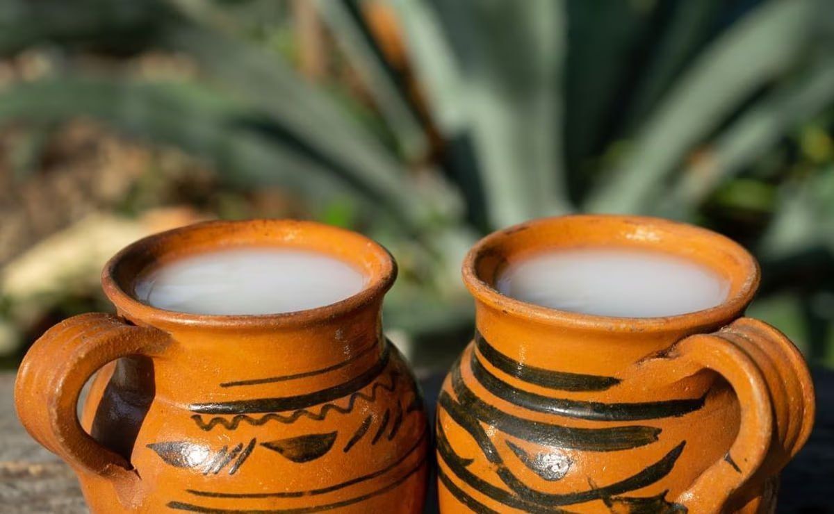 pulque | El Universal Puebla