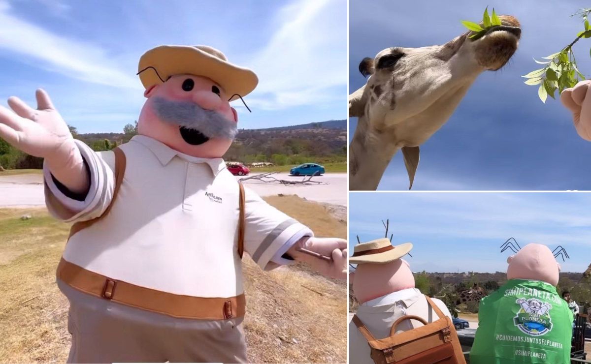 ¿Qué significa jambo? La palabra que utilizan en Africam Safari | El ...