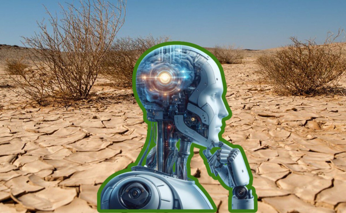 Esto debes saber si vas a la Malinche, lugar donde puedes ver la nieve ...