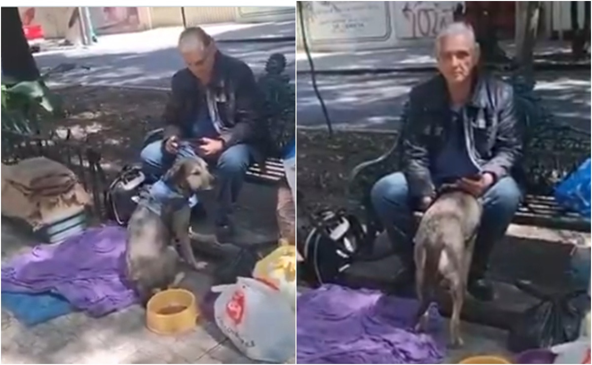 11 platillos mexicanos están entre las 50 mejores comidas callejeras ...