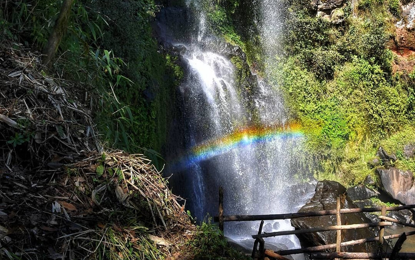 Cómo llegar a las cascadas de Ahuehuetla, un paraíso natural a 3 horas ...