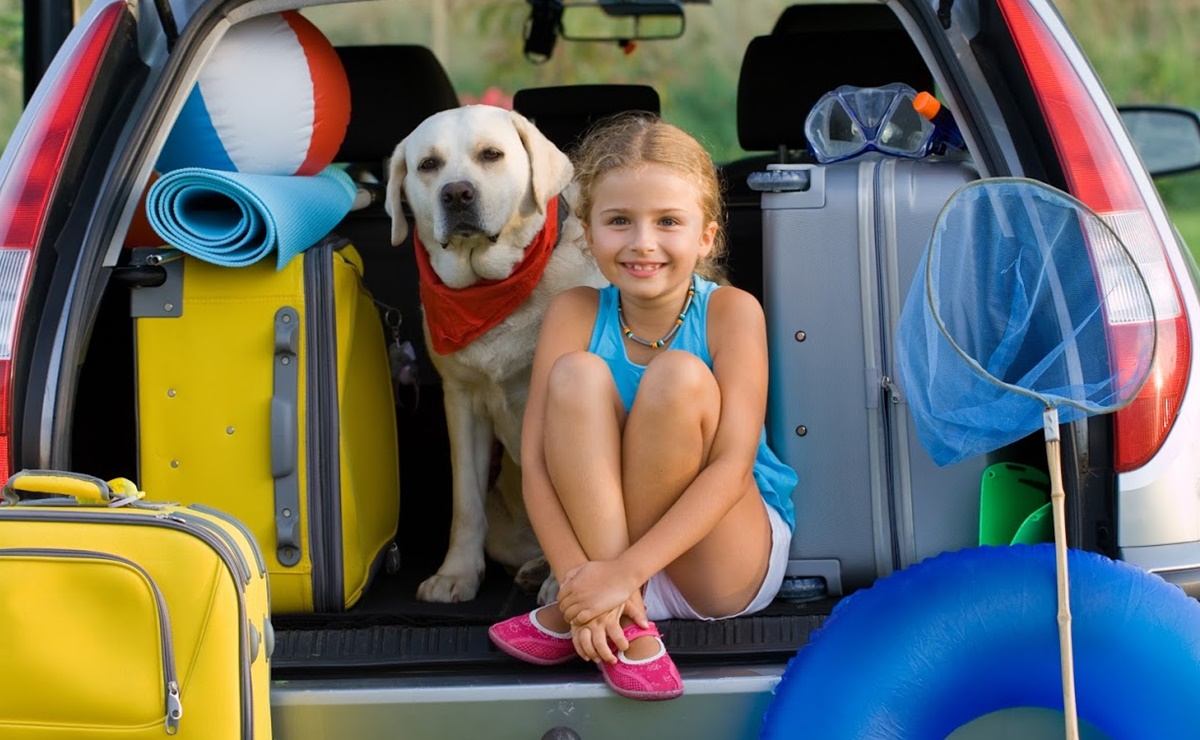 Las razas de perros más leales que siempre estarán a tu lado