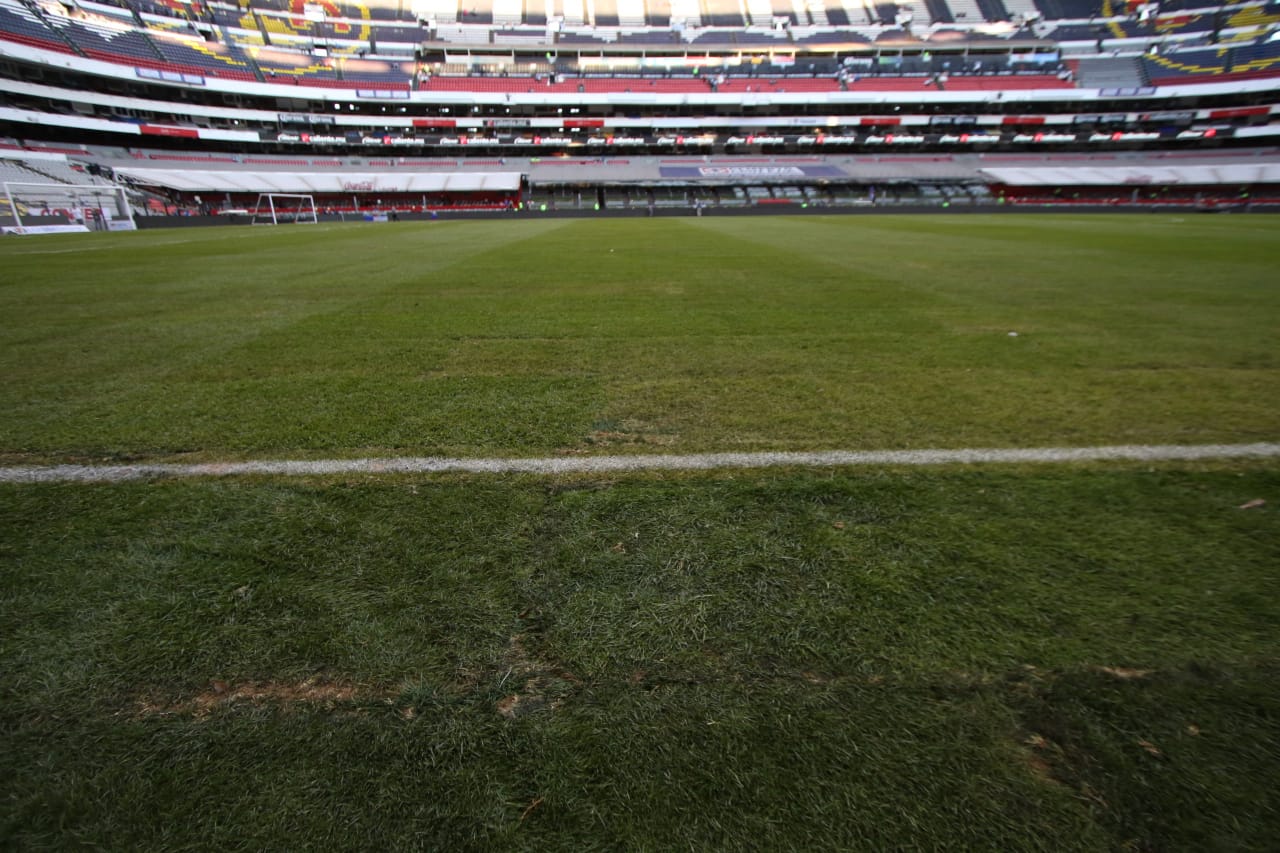 Responsable del pasto híbrido culpa a la gente del estadio Azteca