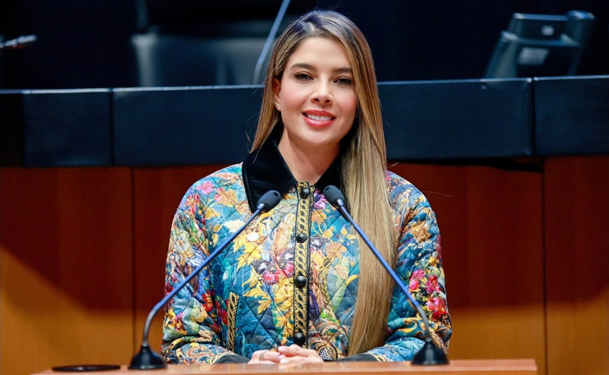 Localizan y aseguran dos caballos en calles de Culiacán, Sinaloa; se escaparon de su corral | El ...