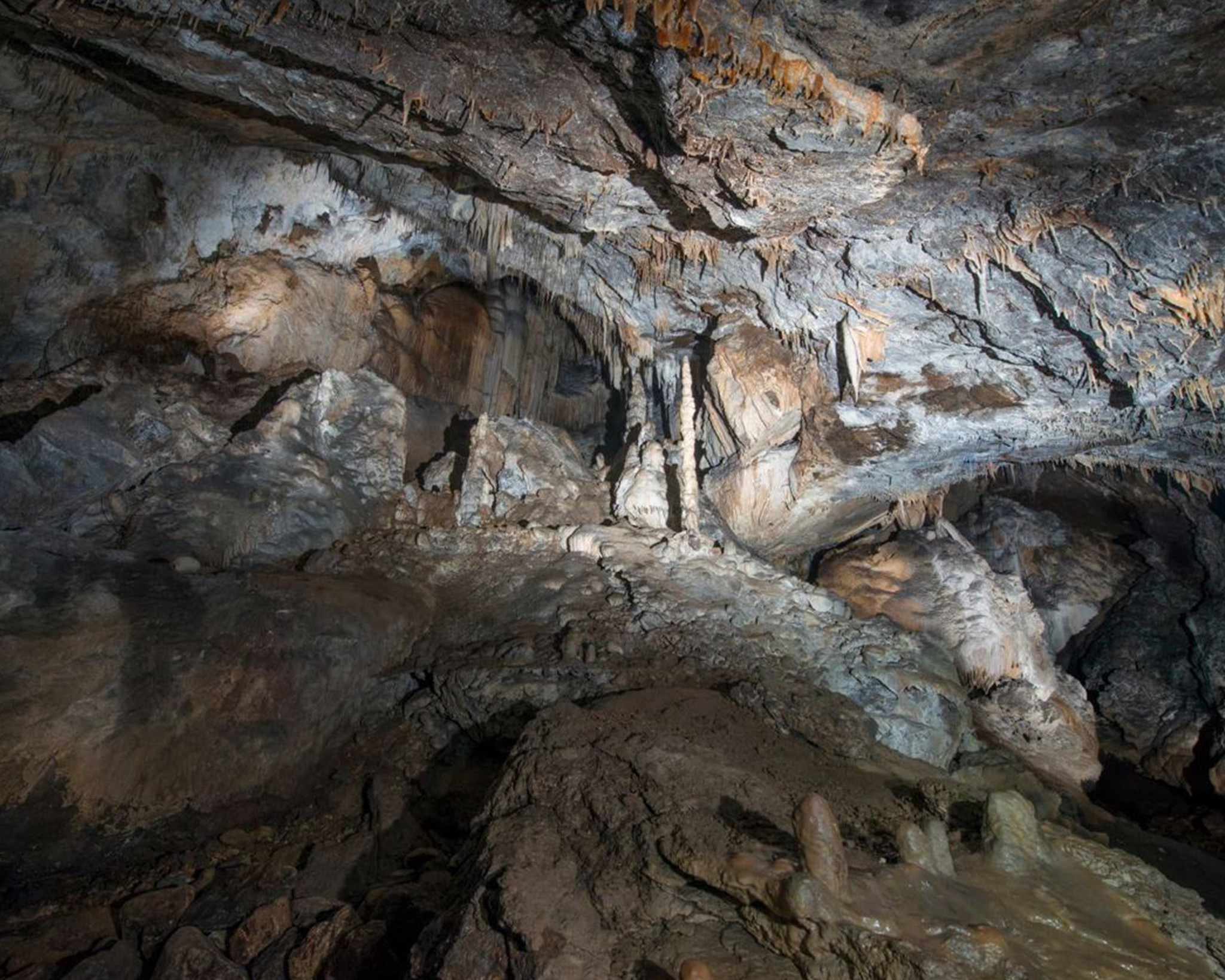 Los Ahuehuetes de Huaquechula: ¿cómo llegar a este hermoso sitio? | El ...