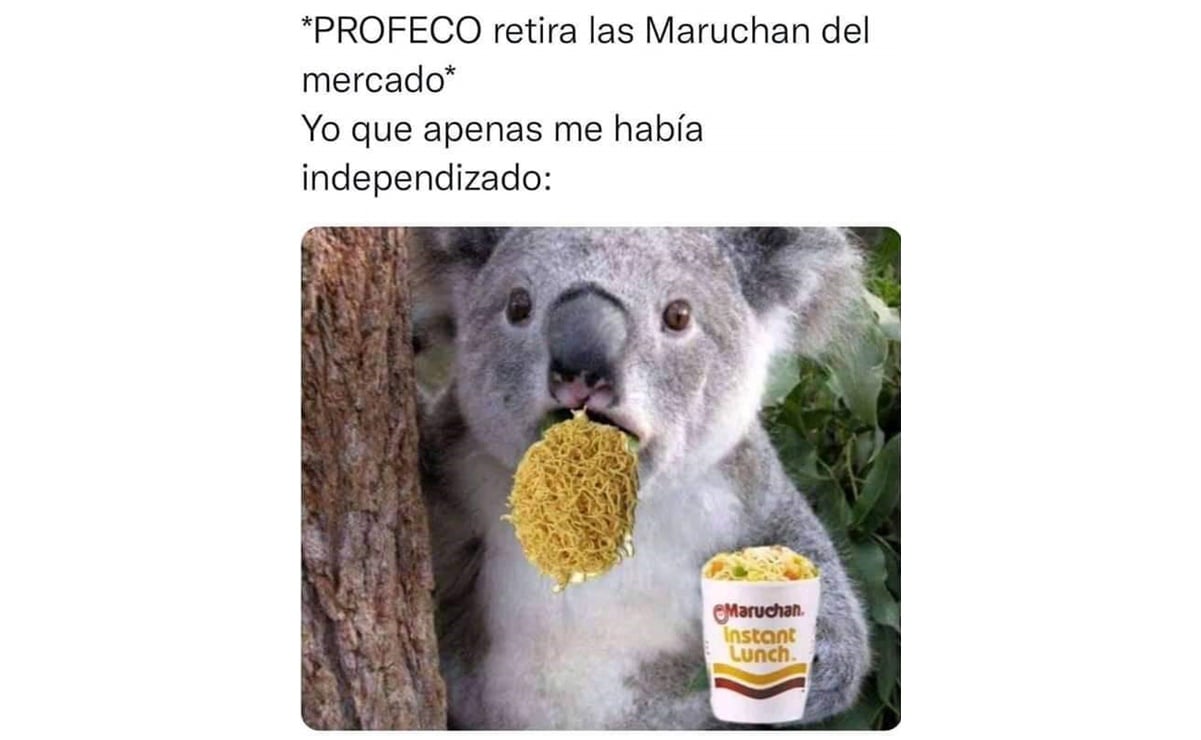 Maruchan. Profeco inmoviliza 129 mil 937 unidades de sopas instantáneas