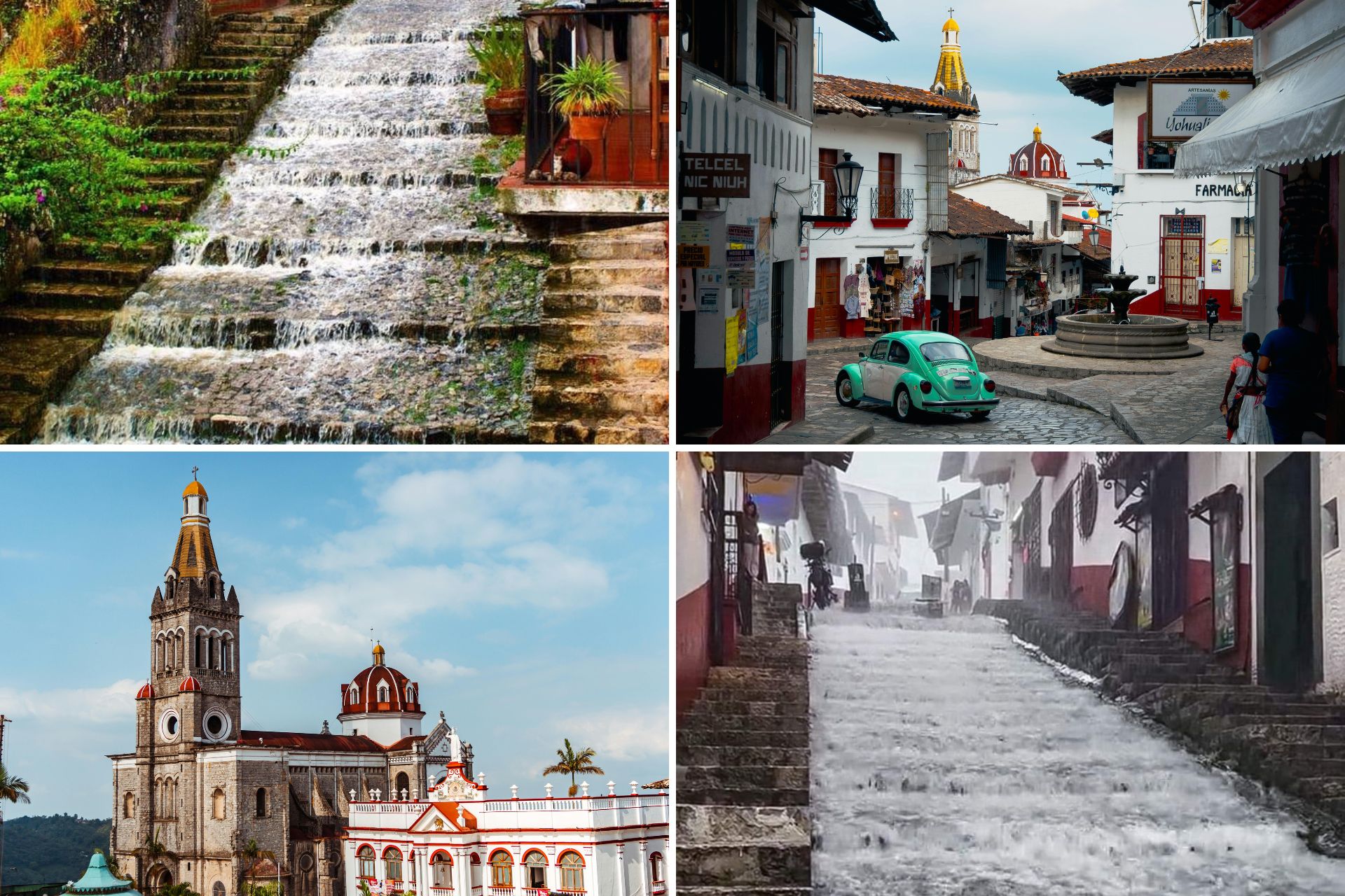 Tres razones para visitar el hermoso Parque Flor del Bosque en Puebla ...