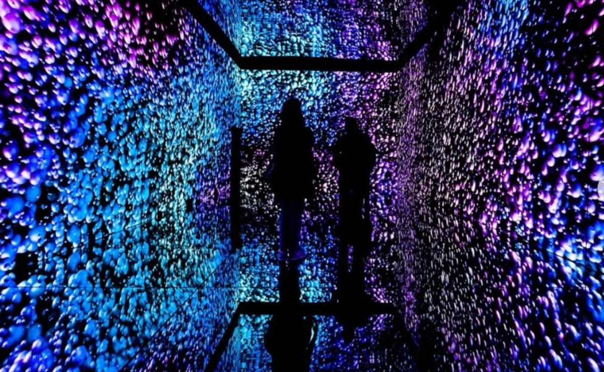 Ariadna Cruz | El Universal